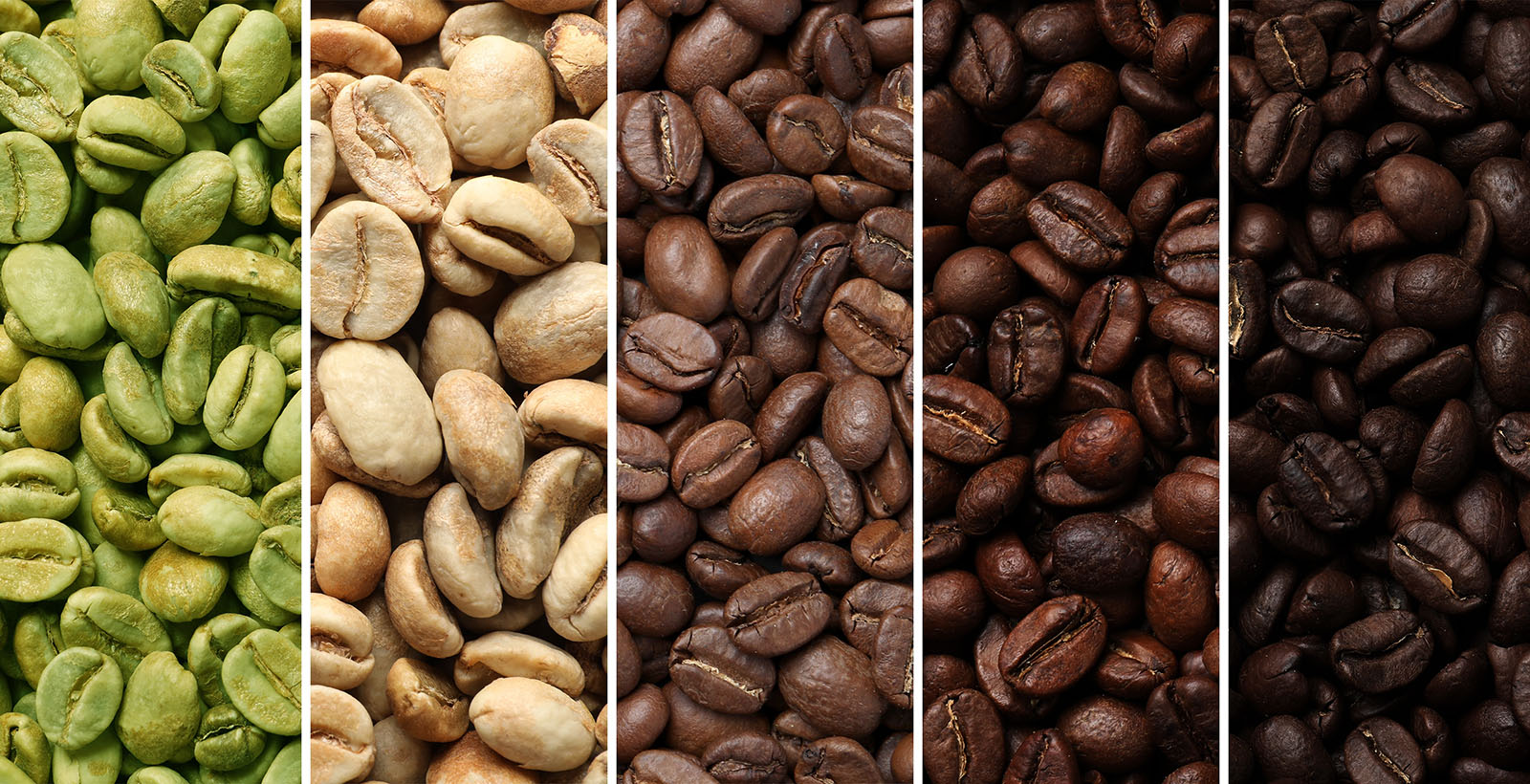Light, medium, or dark? Your ultimate guide to all types of coffee roasts
