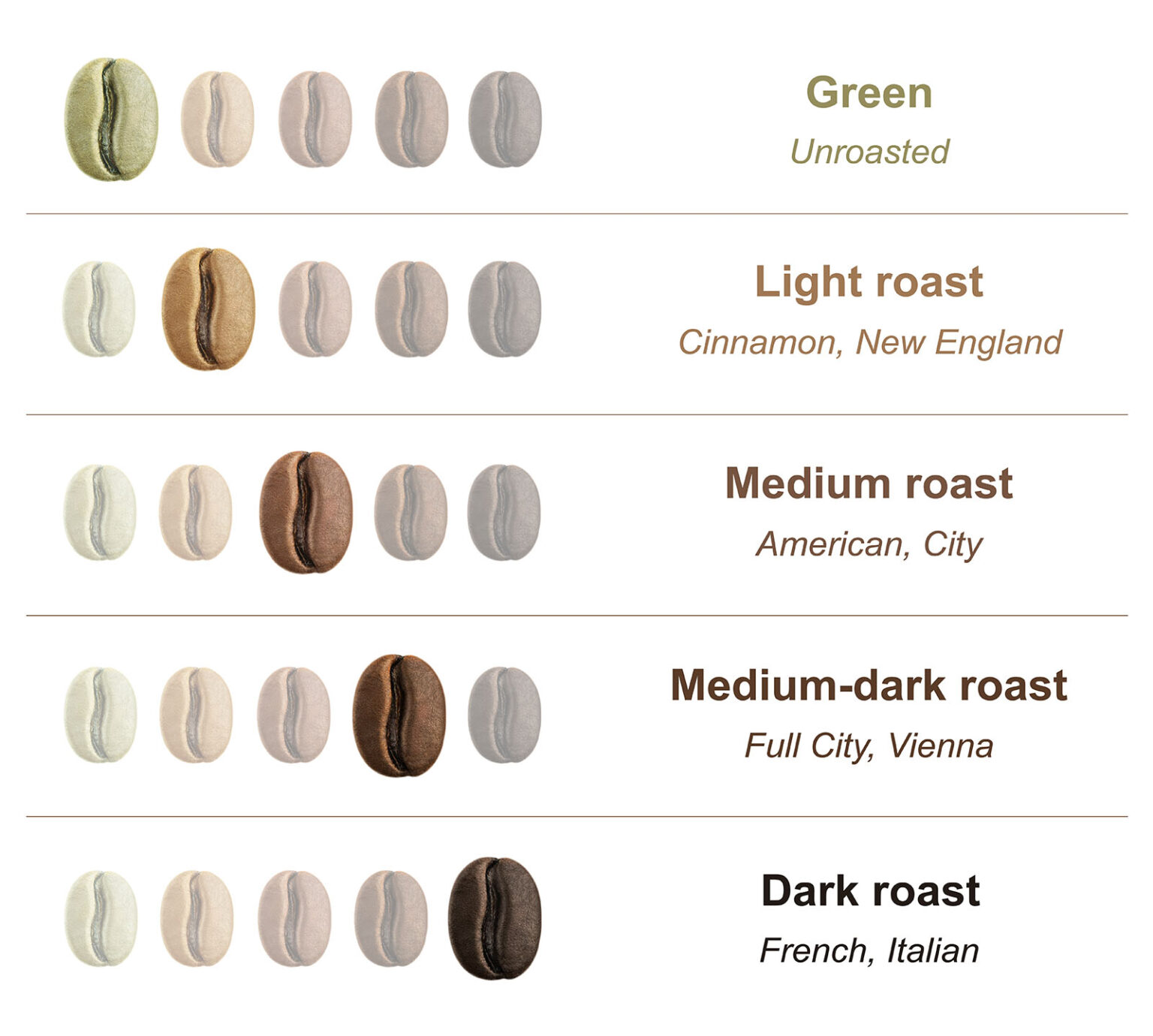 Light, medium, or dark? Your ultimate guide to all types of coffee roasts