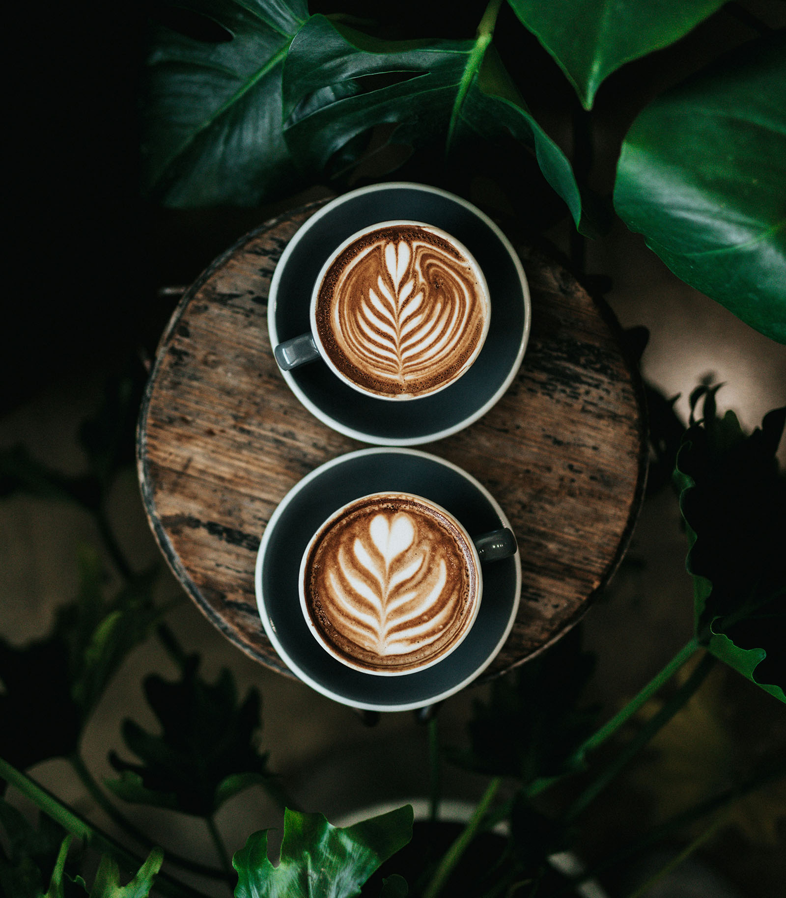 The 10 Most Expensive Coffees in the World